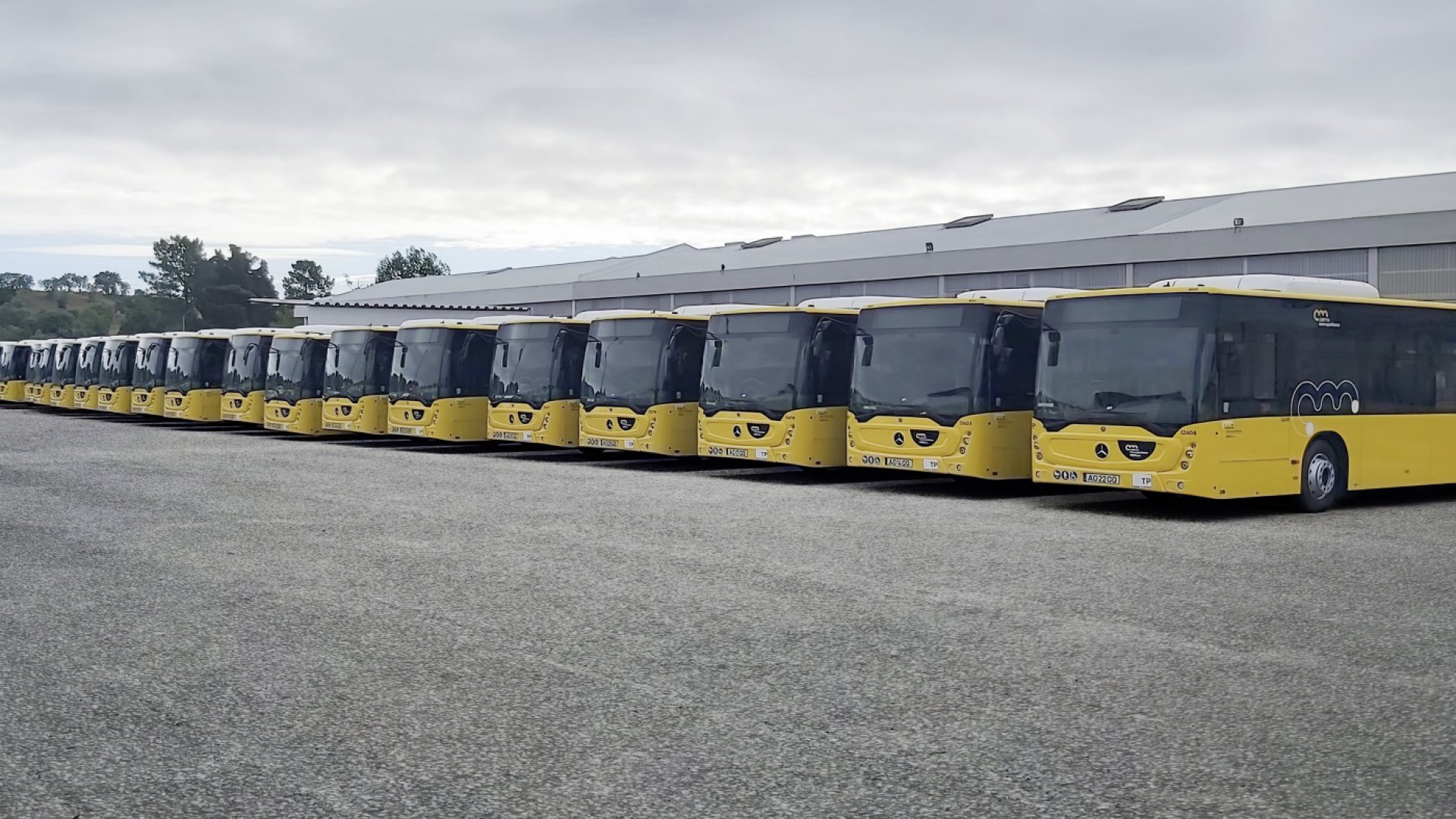 1bus․tv | Rekordauftrag in Portugal